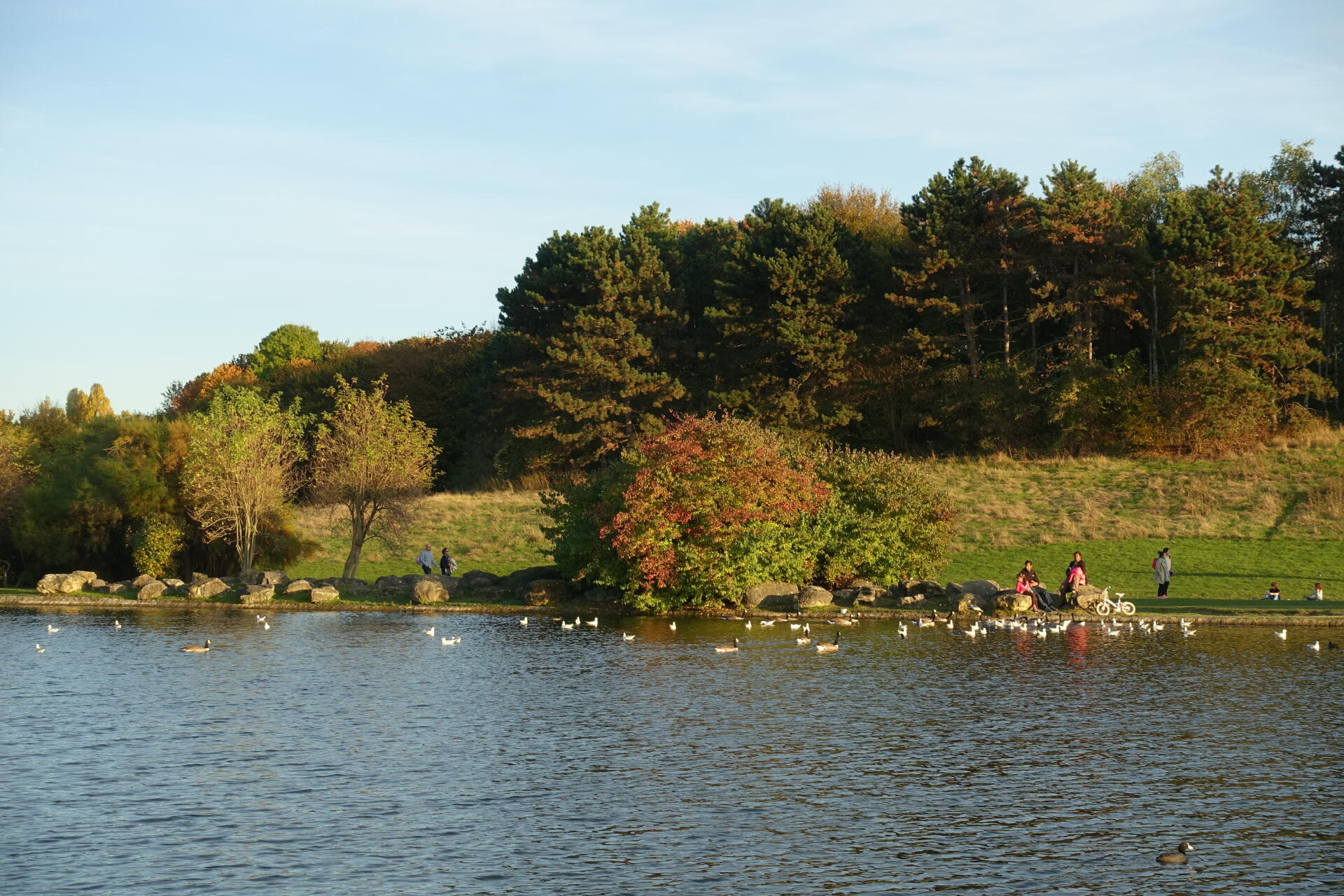 PARC DEPARTEMENTAL GEORGES-VALBON - Salles de spectacles