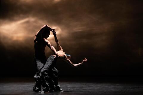 VIBRATIONS - Ballets - Billet & Réservation