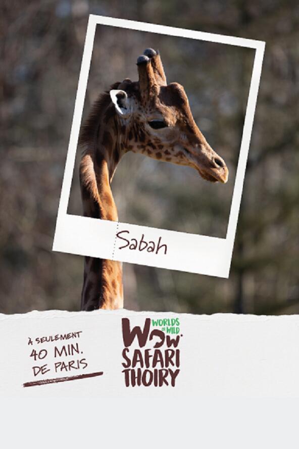 Zoo de Thoiry - Horaires tarifs et billets pour le Zoo Safari